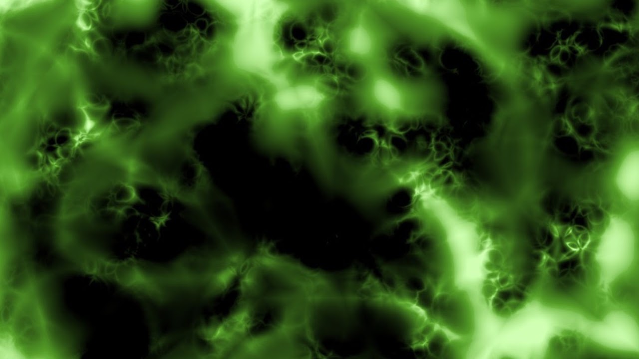 Regi Live Stream - YouTube