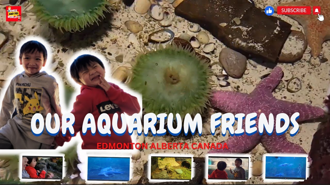 OUR SEA CREATURE FRIENDS ️ - Kyrie and Dos World - YouTube