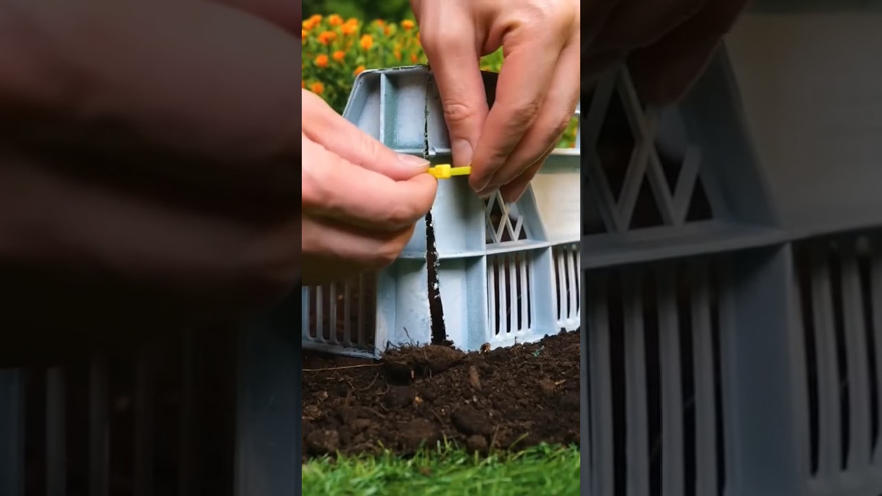 Flower Gumla #youtubeshorts #shortsindia #flowers @5MinuteCraftsYouTube ...