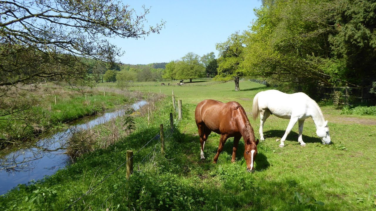 Hints Heart Of England Country Walk Scenery - Staffordshire Walks ...