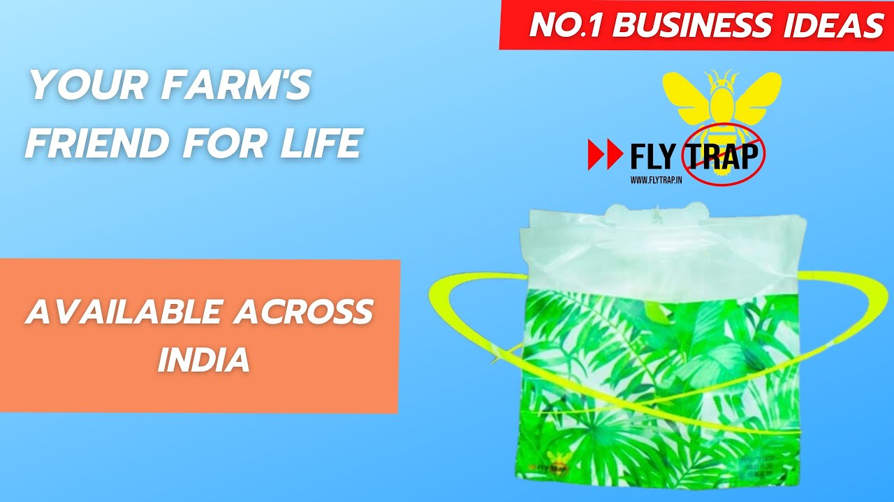 Get rid of flies naturally | Fly Catcher | Organic Housefly Trap | Fly ...