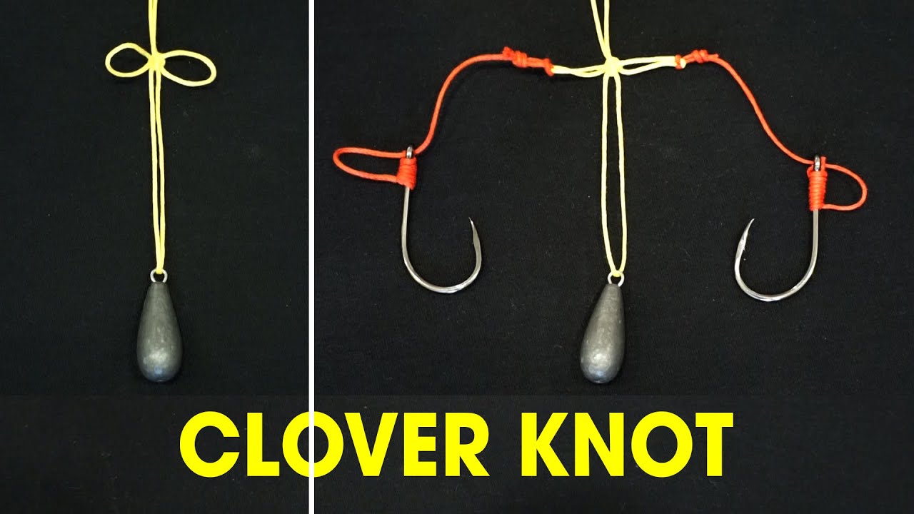 How to tie Clover Knot and Movable D-knot - Carp rig - YouTube