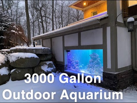 Complete Build of 3000 gallon indoor/outdoor saltwater fish tank ...