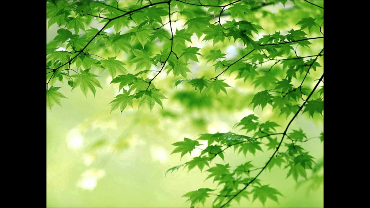 Life in slow motion by James Reynolds (HD) - YouTube