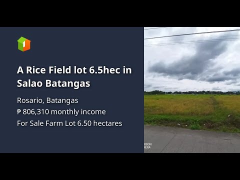 A Rice Field lot 6.5hec in Salao Batangas - YouTube