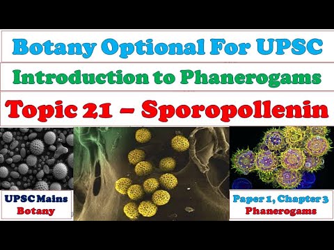Sporopollenin: Outer Wall of Pollen: Biopolymer: Sporopollenin Kya Hai ...