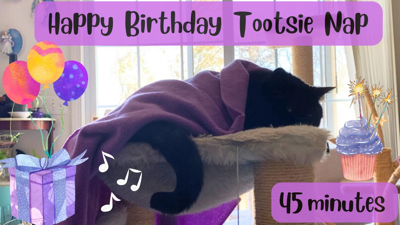 1007) Happy Birthday Tootsie Nap 💤 - YouTube