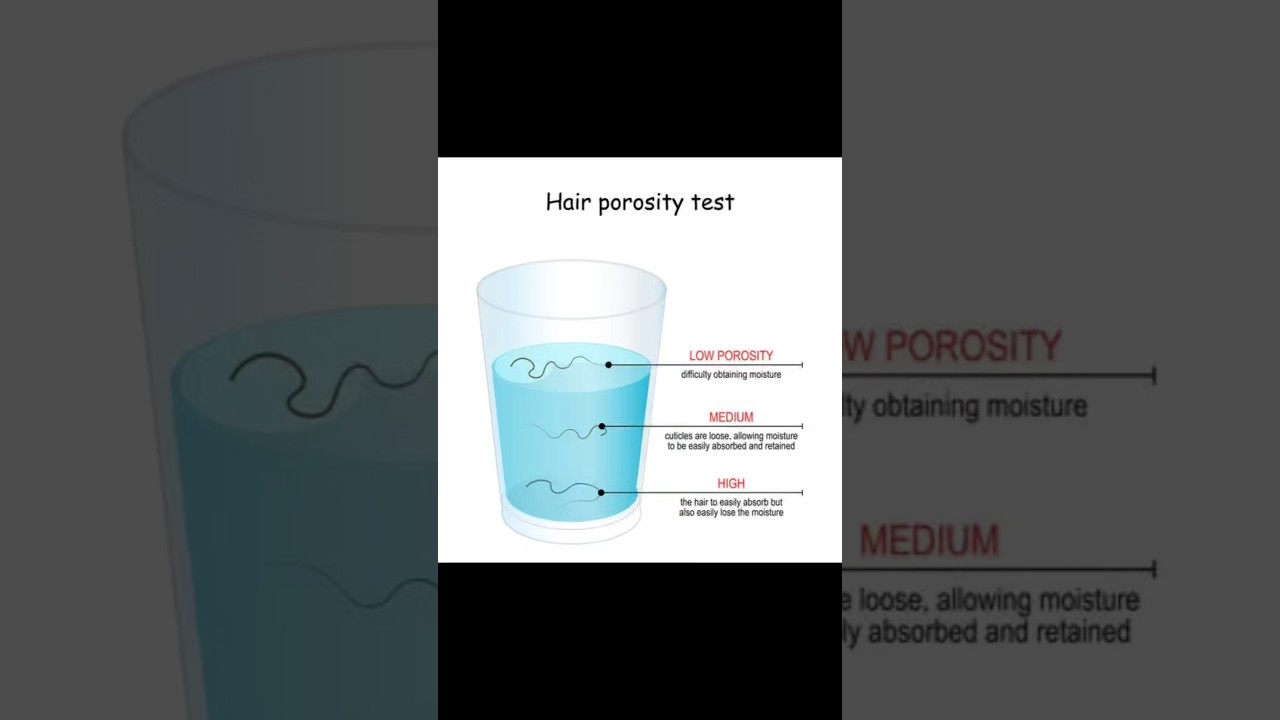 Check your hair porosity level to know about the products to apply in ...