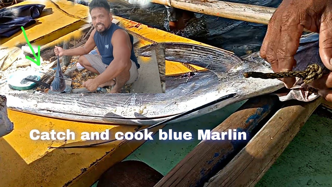 catch and cook blue Marlin - YouTube
