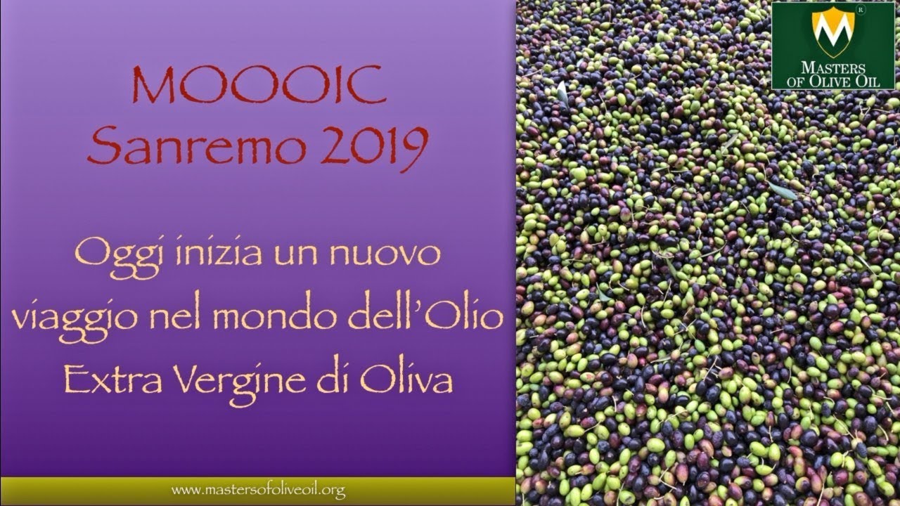 MASTERS OF OLIVE OIL INTERNATIONAL CONTEST EDITION 2019. LOOKING FOR ...