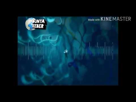 Xerceng xesteliyinin yeni mualicesi tapilib 2017