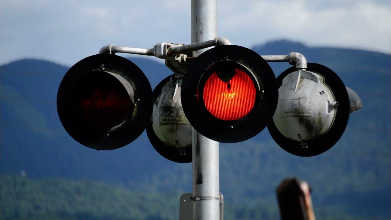Wasp Infested Railroad Crossing (Barbo Road, Sumas, WA) - YouTube
