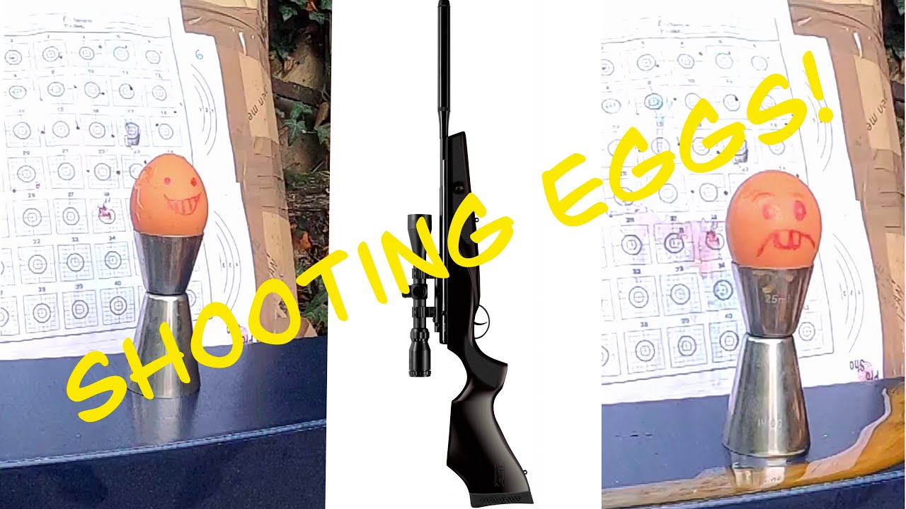 BSA Lightning XL SE GRT Shooting Eggs! - YouTube