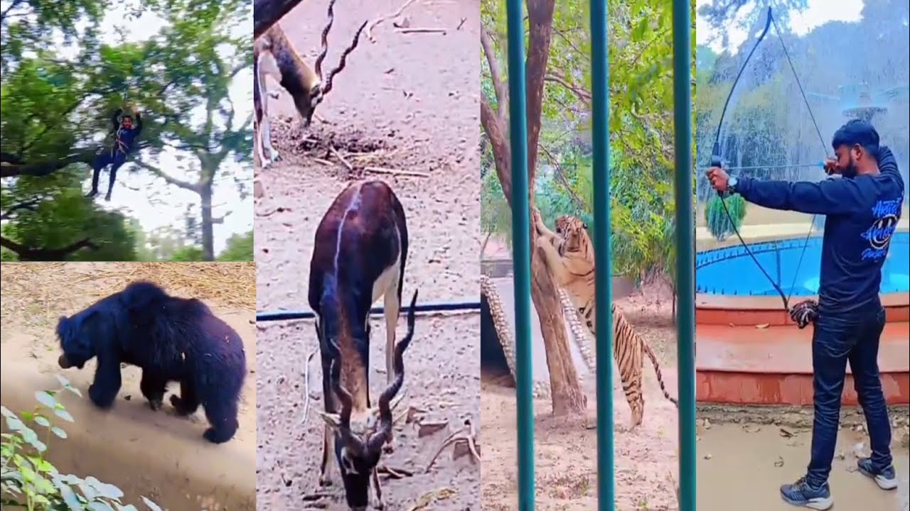 TRADER WEEKEND ON LUCKNOW ZOO PARK I No EDIT VIDEO I FULL ENJOY SEEN ...