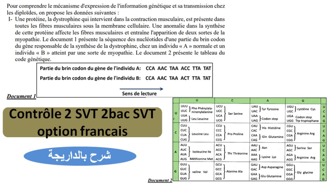 Contrôle 2 Svt 2 Bac Svt Biof شرح الفرض بالداريجة Youtube