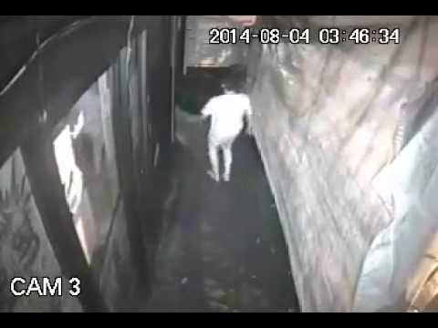 Zombie Caught On CCTV - YouTube