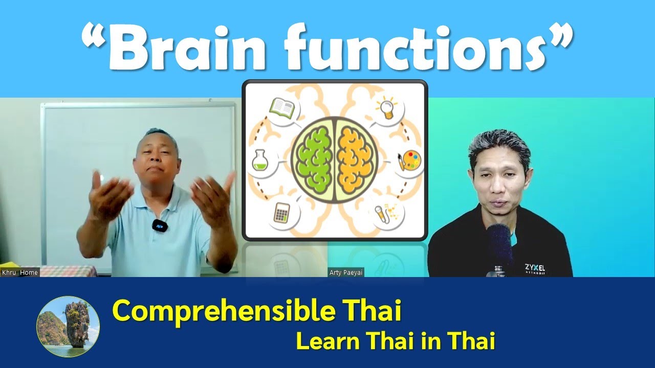 Brain Functions (Learn Thai in Thai: Upper Intermediate) - YouTube
