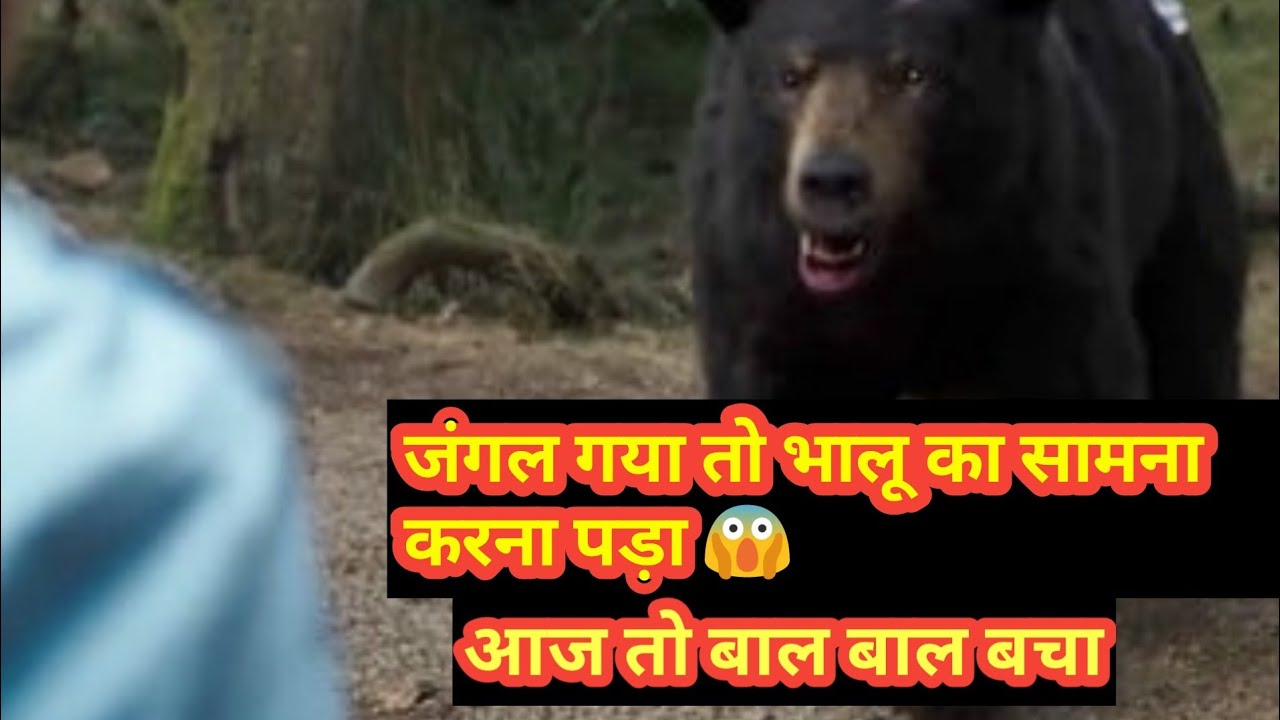 Jangal Gaya To Bhalu Ka Samna Karna Padha 😱😱 - YouTube