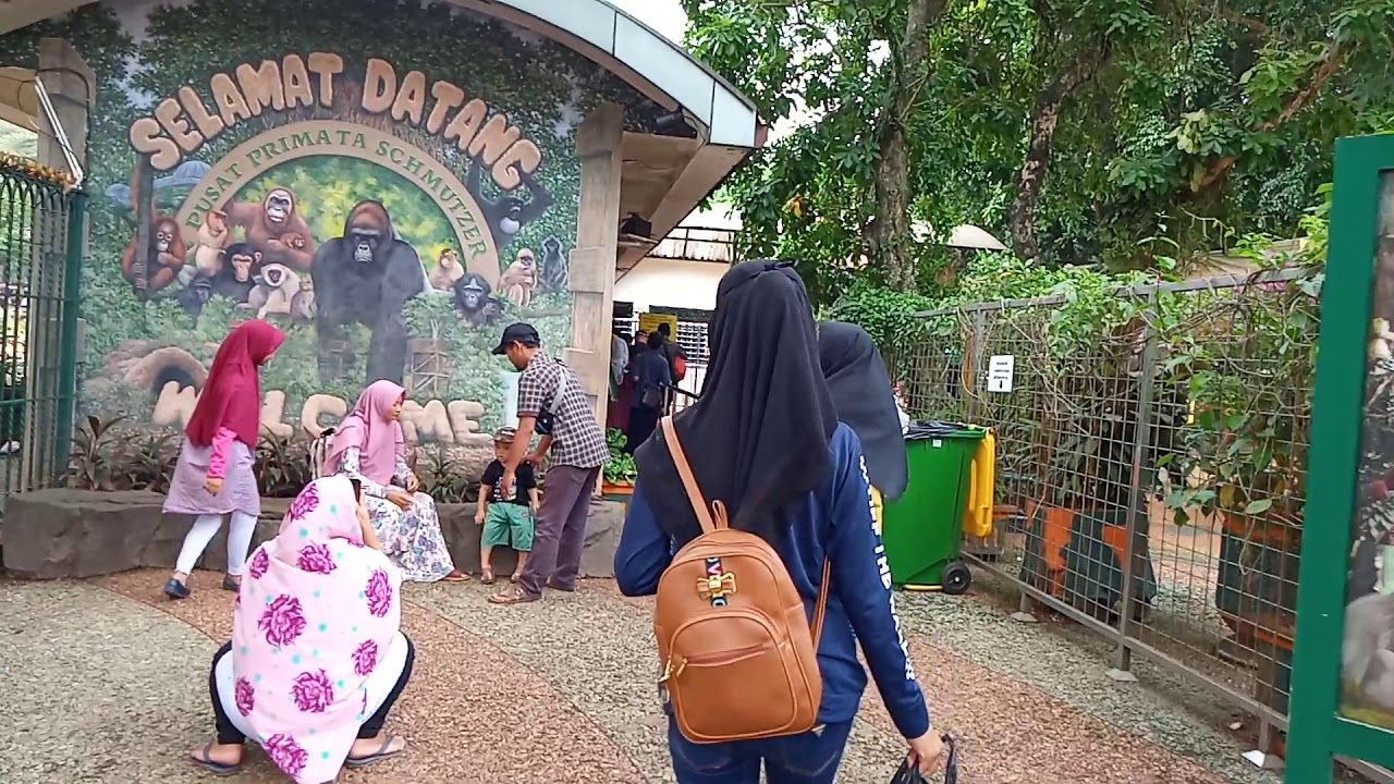 Jalan2 pusat primata taman marga satwa ragunan - YouTube