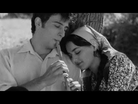 Soyuq Günəş filmi/Ali Cabbar/