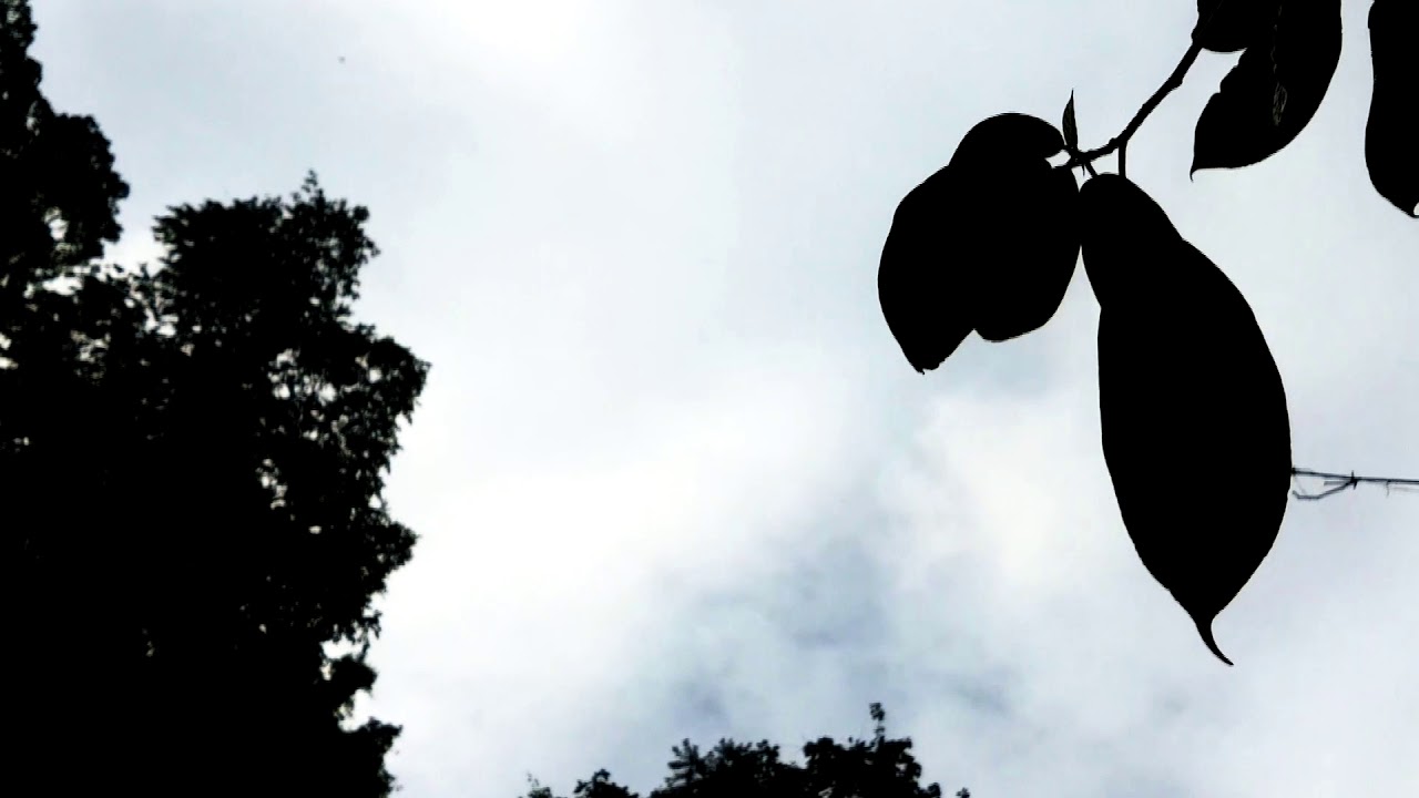 Trip : Air Terjun Tapahan telu - YouTube