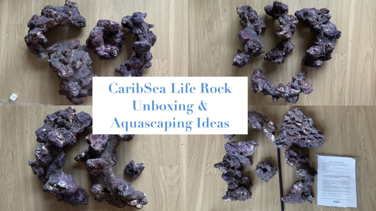 CaribSea Life Rock Unboxing & Aquascaping Ideas - YouTube