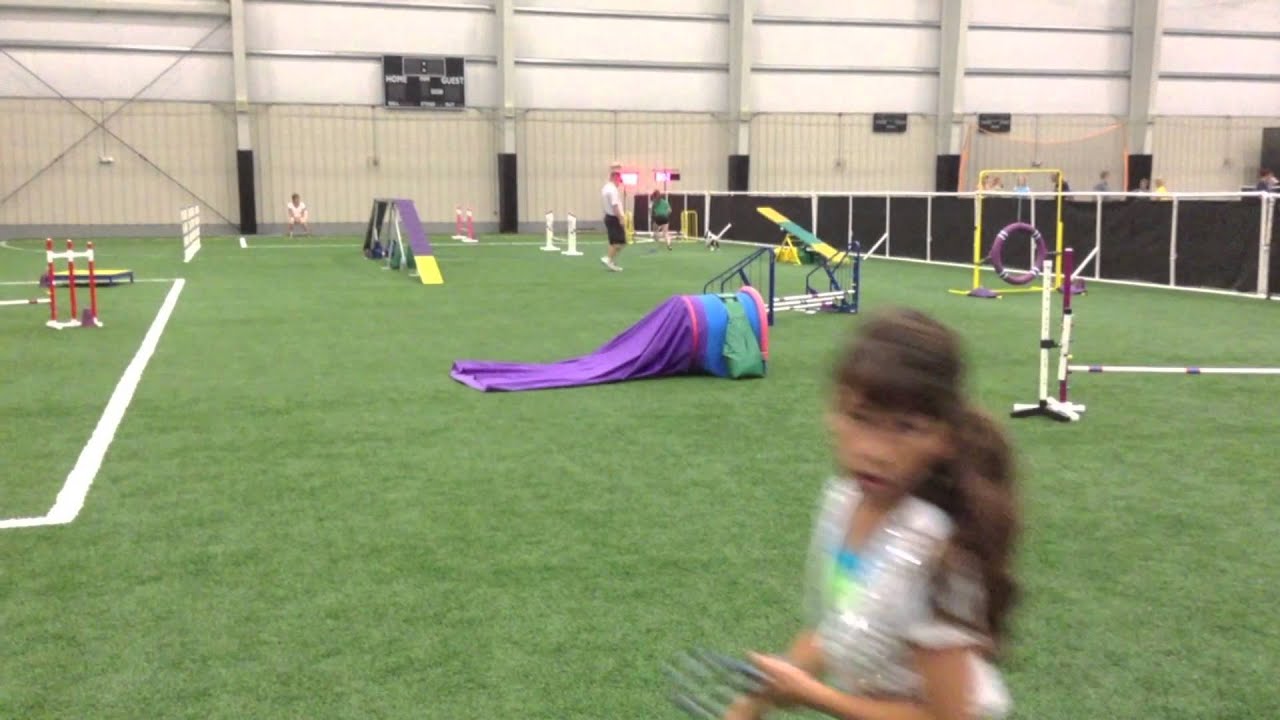 SOJAC July AKC Trial - YouTube