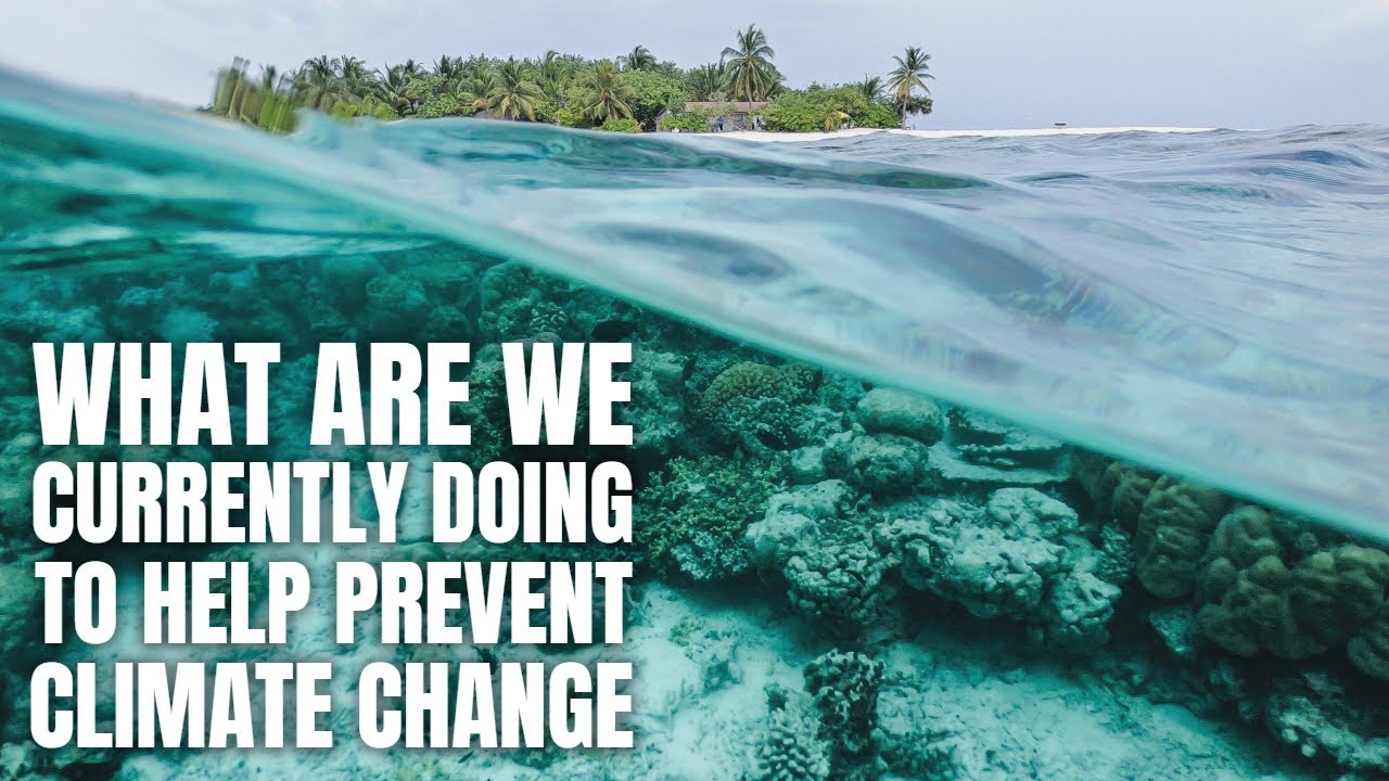 Global Initiatives To Help Prevent Climate Change | What We're Already ...