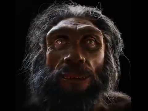 Son 6 Milyon İldə İnsan Üzünün Təkamülü