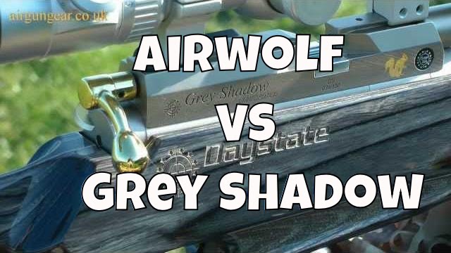 SHOOTOUT: Daystate Grey Shadow Vs Daystate Airwolf MCT - Air Rifle Test ...