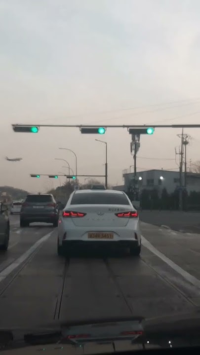 Wild world - YouTube