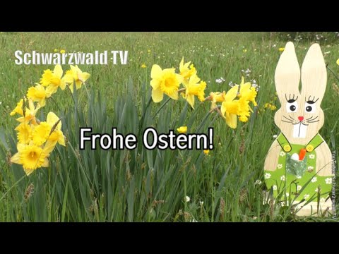 🍀🐇 Frohe Ostern 2025 🐇 Ich wünsche Euch frohe Ostern 🐣 Ostergrüße ...