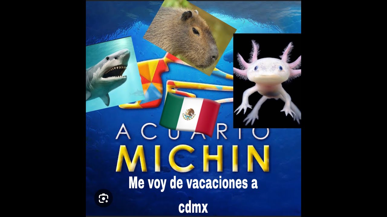 Me voy de vacaciones a cdmx parte 1 (Acuario Michin) - YouTube