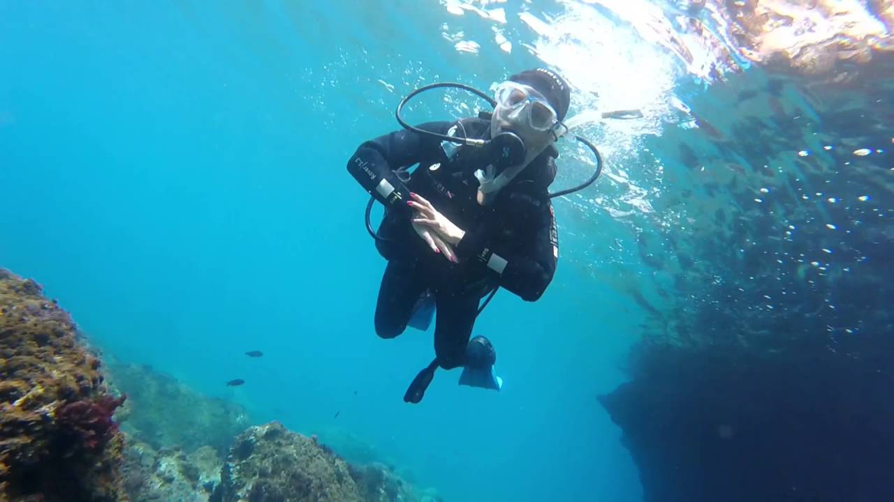 Aida Linda - YouTube