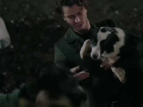 يوم واتنين /ايفه وفيردا