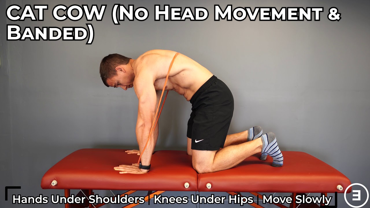 Cat Cow (No Head Movement and Banded) | Spine Range of Motion | Flexion ...