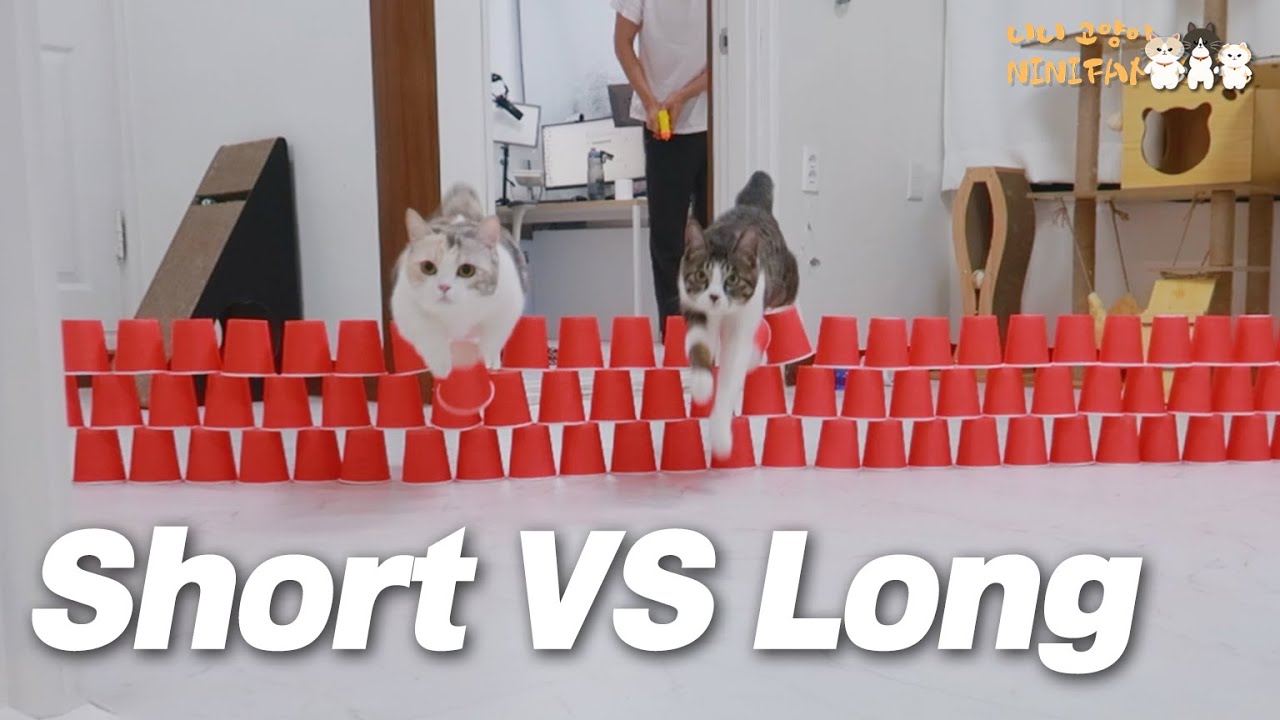 Short Legs Running VS Long Legs Running│Ninifam - YouTube