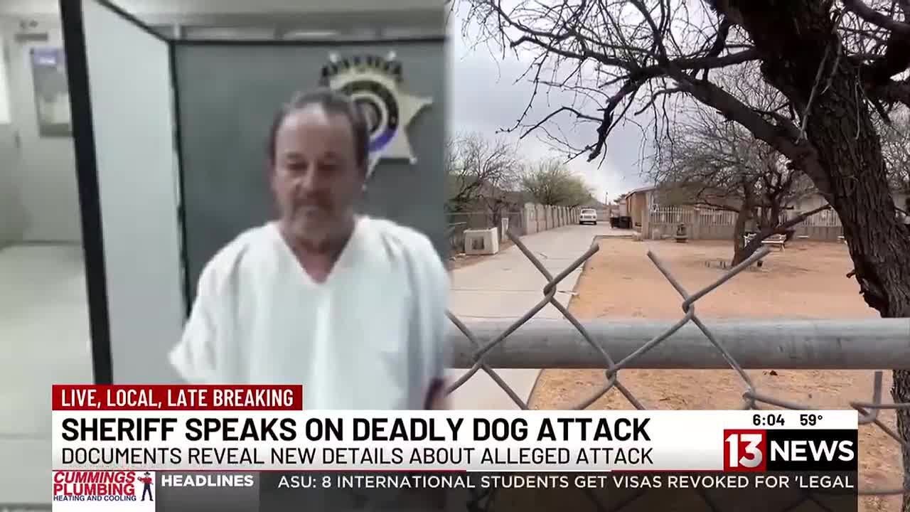 Documents: Dogs in fatal Pima County attack had long history of ...