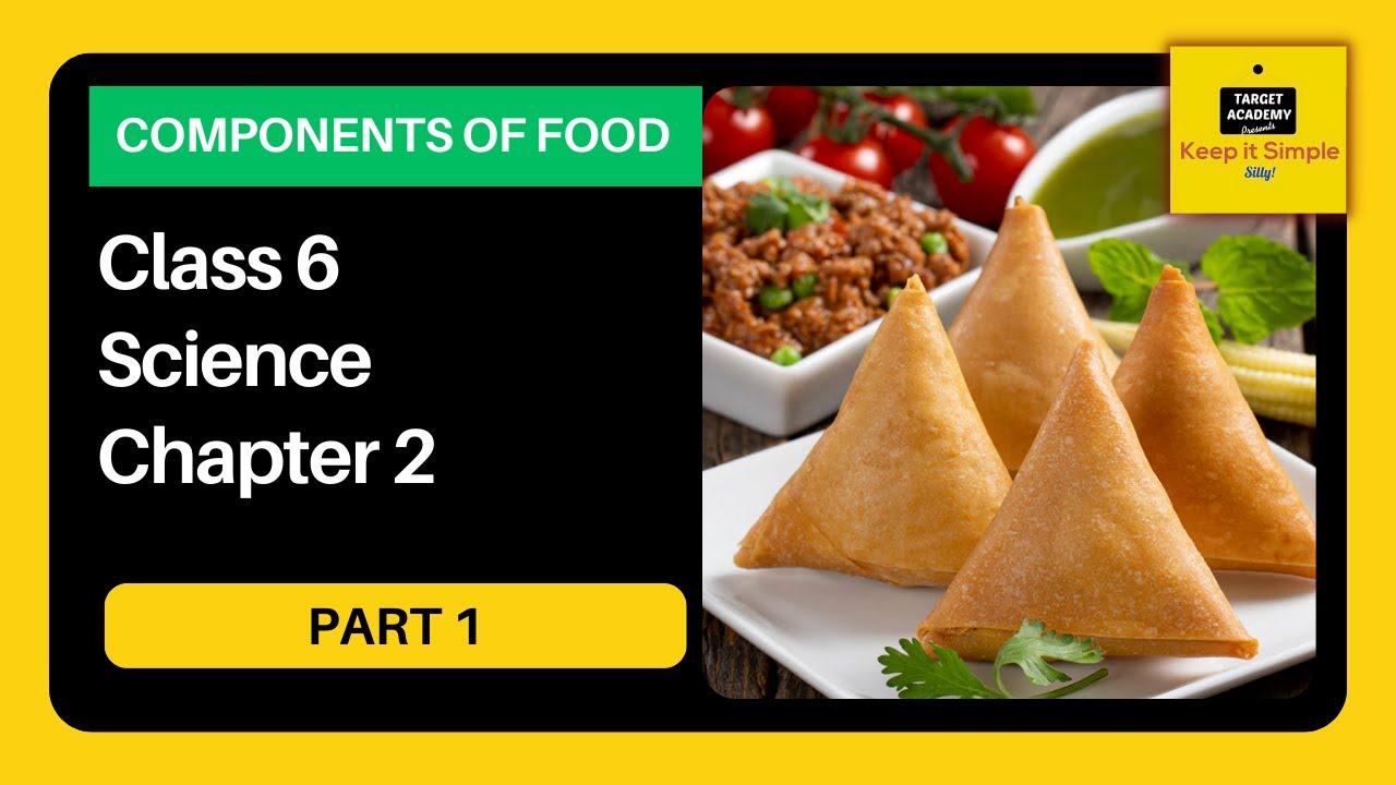NCERT Class 6 Science | Chapter 2 : Components of Food - Part 1 - YouTube