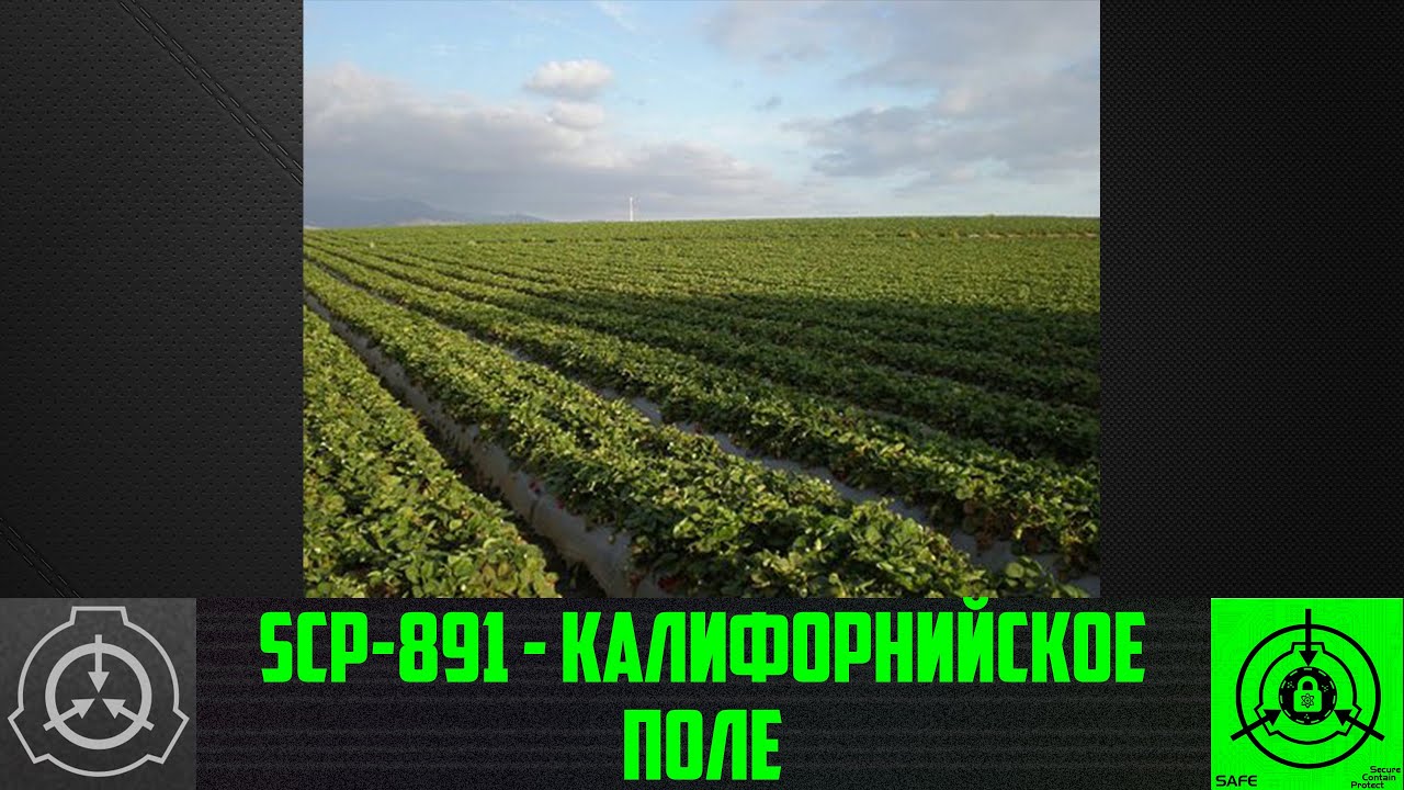 SCP-891 - Калифорнийское поле 【СТАРАЯ ОЗВУЧКА】 - YouTube