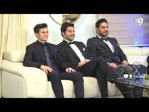 Kedicikler dans 🐺 instagram/adnanoktarkedicikleri