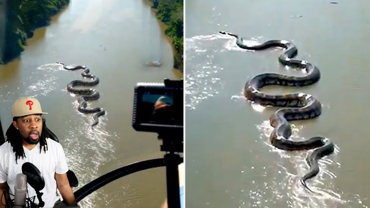 Here's What They Found in Congo.. And It's Way Worse Than We Thought ...