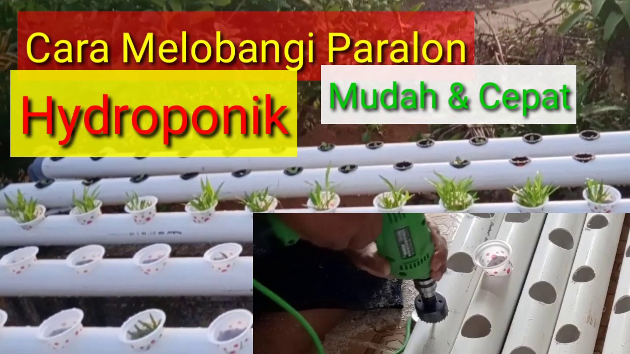 CARA MEMBUAT LOBANG PARALON HYDROPONIK DENGAN MUDAH DAN CEPAT - YouTube