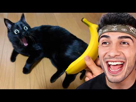 SİZİ GÜLDÜRECEK KOMİK HAYVANLAR!