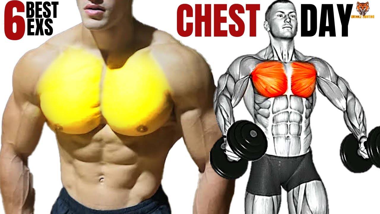 6 BEST CHEST WORKOUT AT GYM / Meilleurs exs Musculation De la poitrine ...