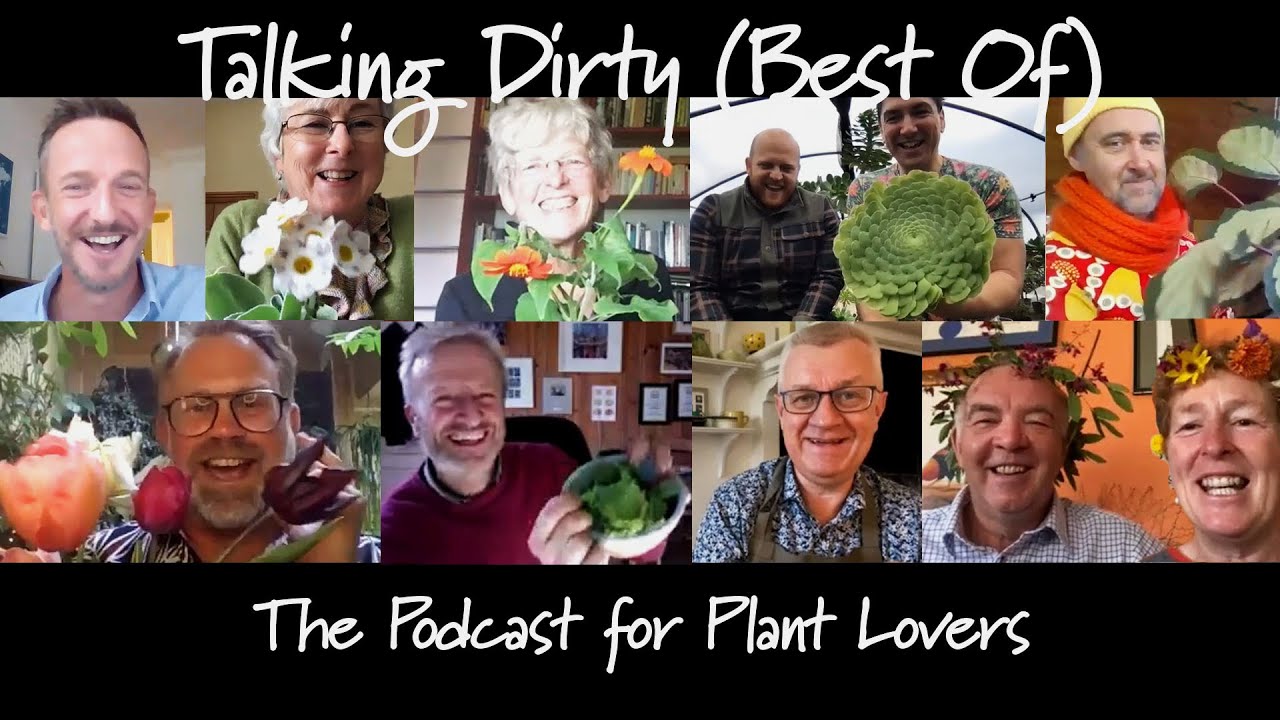 The Talking Dirty Podcast: Best Of - YouTube