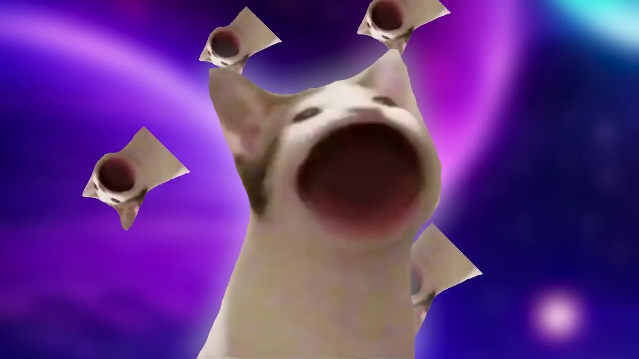 Cat xd - YouTube