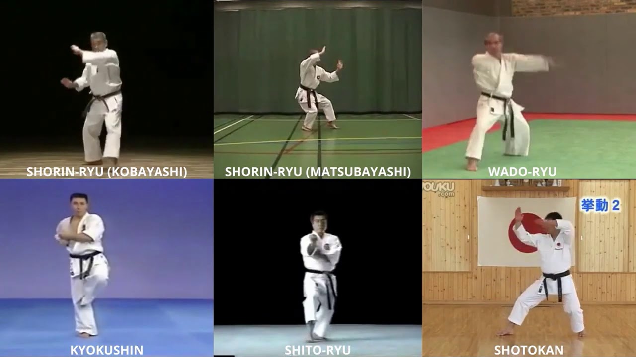 PINAN YONDAN-COMPARAÇÃO-SEMELHANÇAS E DIFERENÇAS-SHORIN-RYU WADO-RYU ...