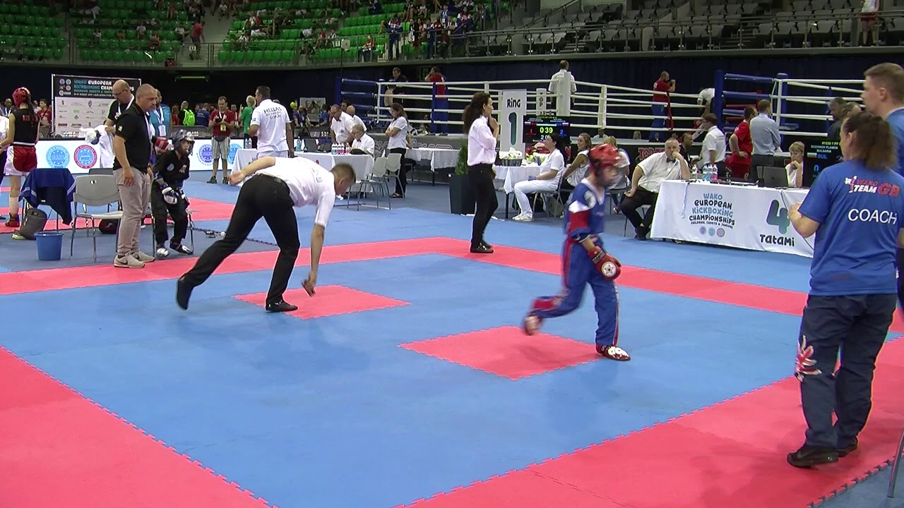 Cassius Mitchell v Plamen Bozhinov WAKO European Championships 2019 ...