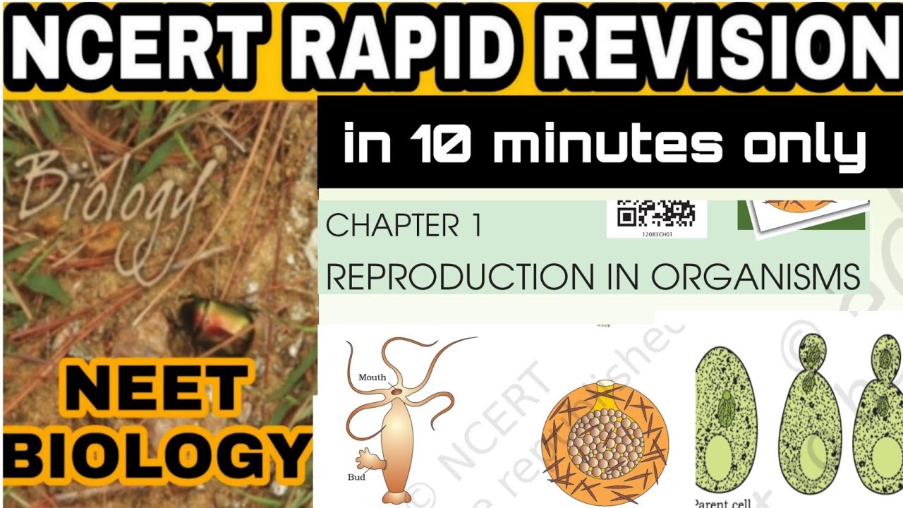 Reproduction in Organisms - NCERT RAPID REVISION PAATAL SERIES FOR NEET ...